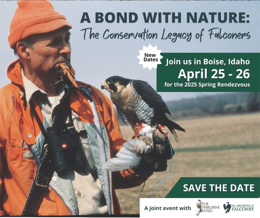 Spring Rendezvous - The Archives of Falconry