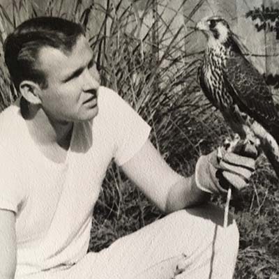 The Archives of Falconry Book of Rembrance Search